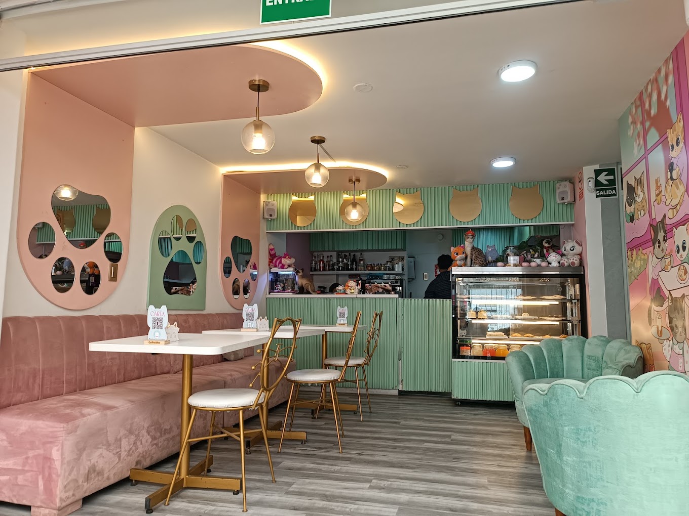¿Fan de los gatos? Visita estos 4 Cat Cafés y adopta con amor | Blog ...