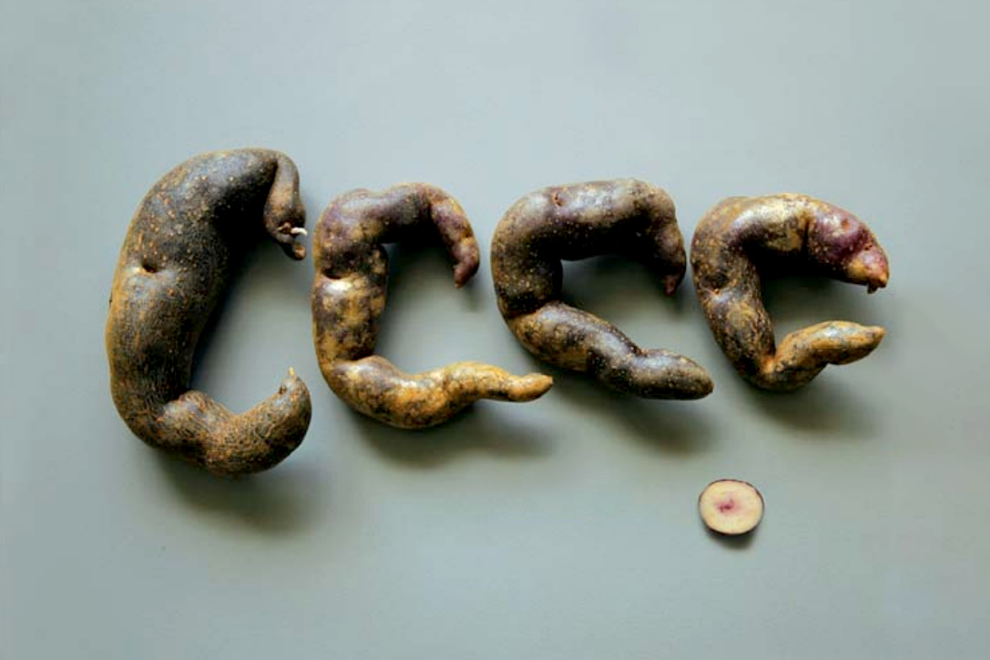 Día de la Papa: Descubre las variedades más sorprendentes que crecen en ...