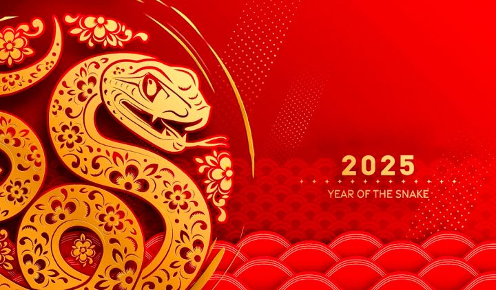 Horóscopo Chino 2025: Predicciones para cada signo en el Año de la ...